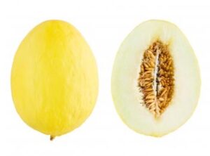 Your Canary Melon Guide: Taste, Health Benefits, and Selection