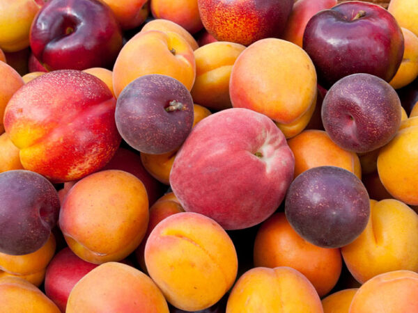 Which Plums Are the Sweetest? Top Picks from the Pros - The FruitGuys