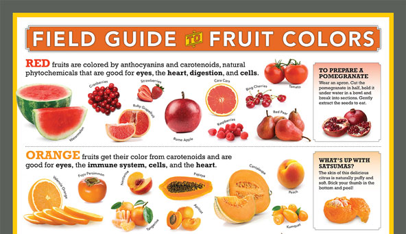 Infographics | The FruitGuys
