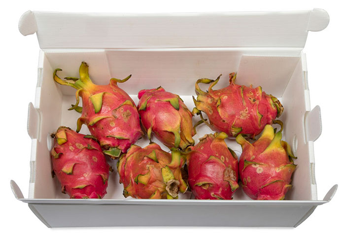 Fun and Healthy Valentine's Day Activities for Students - The FruitGuys