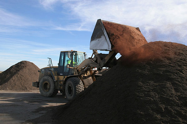 Is It Safe to Put Citrus in Compost? A Guide for Office Workers - The ...