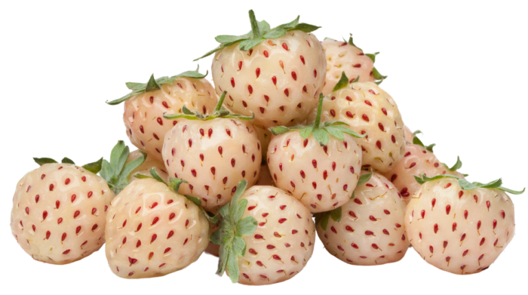 Pineberries - The FruitGuys