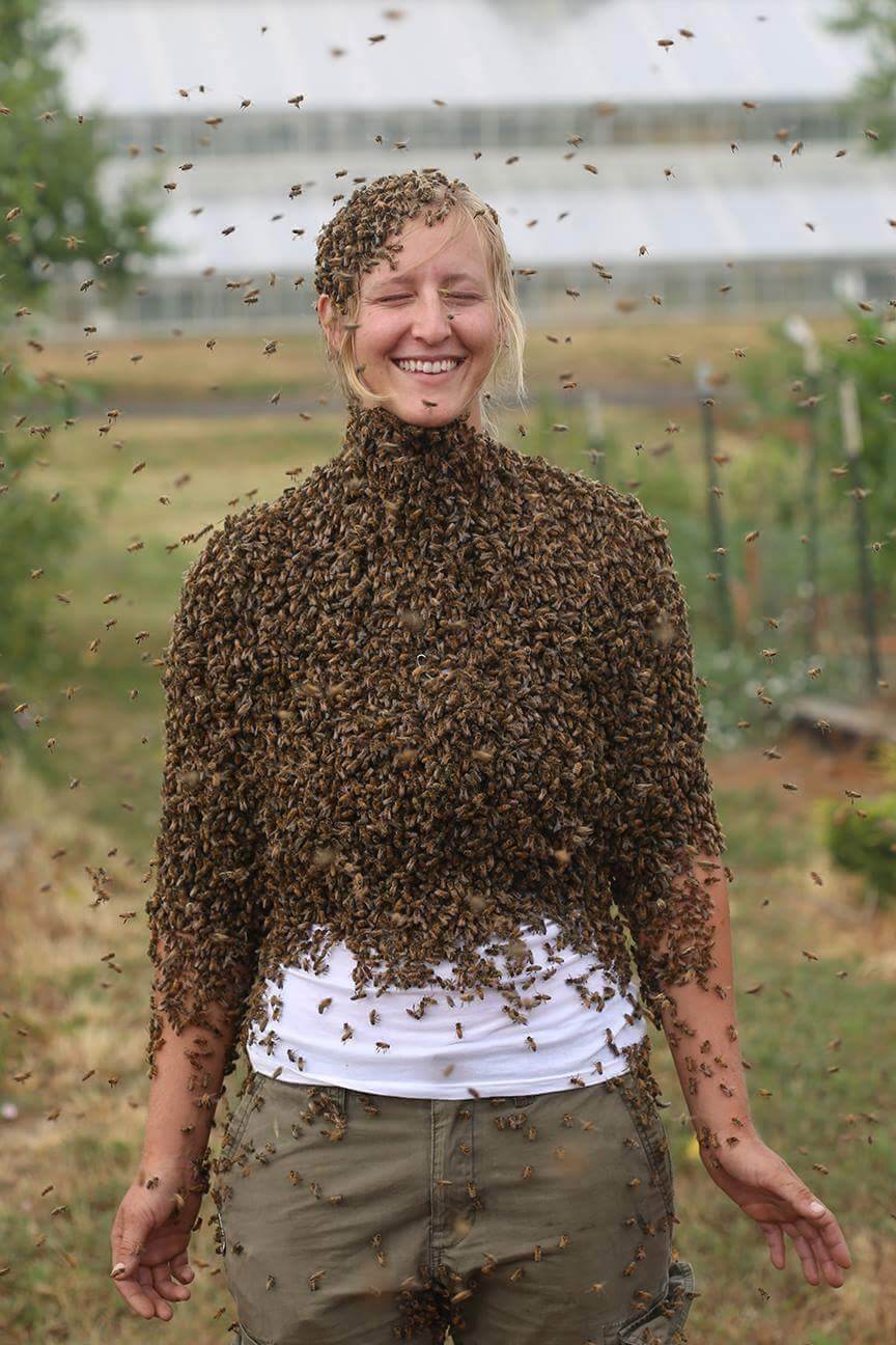 Behind the Scenes at Brittany's Bees: A Small Farm Grants Story - The ...