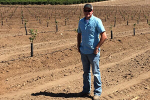 This California Citrus Grower Melds High-Tech Farming and Family Values ...