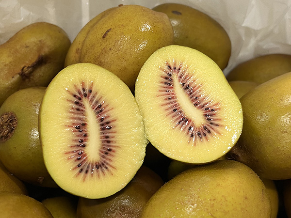 Your Red Kiwi Guide: How It Compares to Its Colorful Cousins - The ...