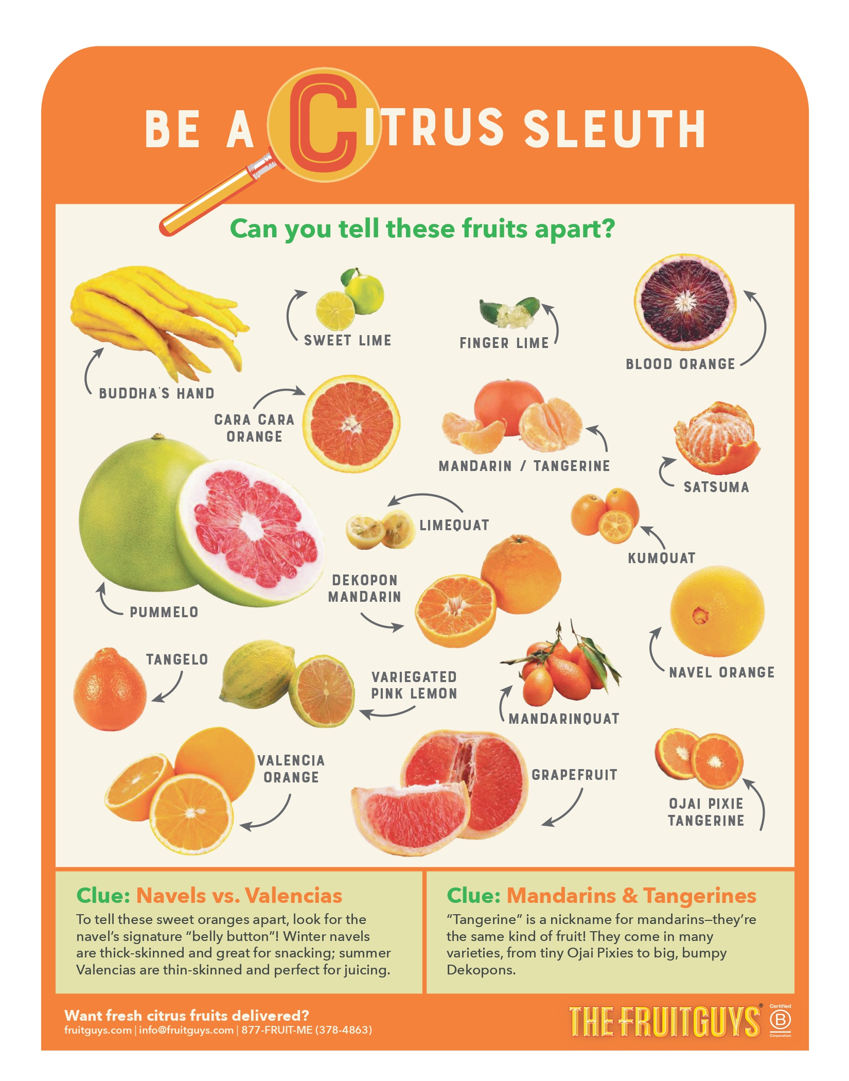 Types Of Citrus Fruits And Their Names